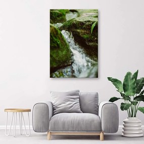 Gario Obraz na plátně Spěchající řeka Rozměry: 40 x 60 cm
