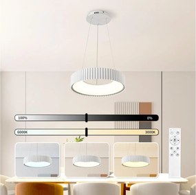 BRILAGI - LED Stmívatelný lustr FALCON MODERN LED/30W/230V pr. 40 cm bílá + DO
