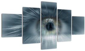 Obraz  - Pohled oka (125x70 cm)