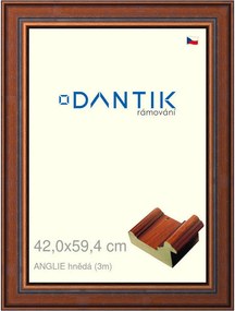 DANTIK rámeček 42x59,4 | ANGLIE hnědá (Plexi Čiré)