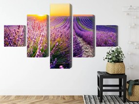 Vícedílný obraz Levandulové Pole Při Západu Slunce 3D Nedostatek Nedostatek Plátno Canvas 200x120