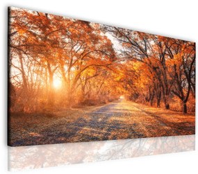 Malvis ® Obraz podzim v aleji Velikost: 120x80 cm