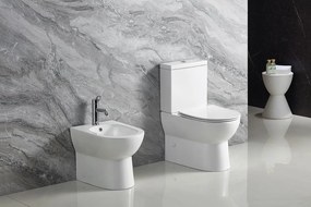 Aqualine JALTA WC kombi 37 x 78,5 x 63 cm Rimless spodní/zadní odpad bílá PB103RW