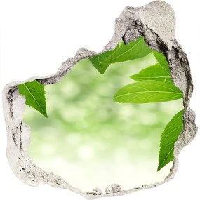 Wallmuralia Samolepící díra nálepka Zelené listí 75x75 cm