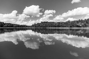 Samolepící fototapeta černobílé jezero v létě - 375x250 cm