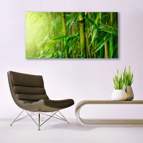 akrylový obraz Bambus Stonky Rostlina 120x60 cm