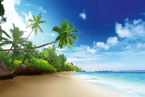 DIMEX | Samolepicí vliesová fototapeta na zeď Seychelská pláž MA-5-1764 | 375 x 250 cm | zelená, modrá, bílá, krémová