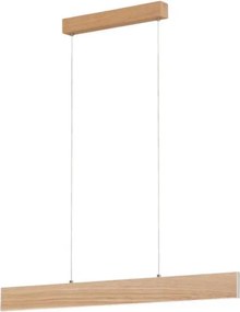 Eglo 39344 - LED Lustr na lanku CLIMENE LED/17W/230V + LED/4,2W dub
