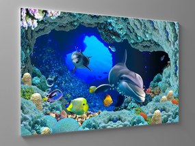 Liox Dětský obrázek delfíni v moři Rozměr: 150 x 100 cm