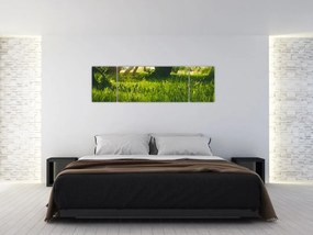 Obraz přírody - louka (170x50 cm)