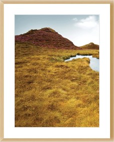 Obraz Grassy Field I 40x50cm