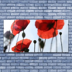 akrylový obraz Máky Rostlina 120x60 cm