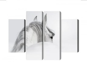 Vícedílný obraz Andaluský Kůň V Mlze Nedostatek Nedostatek Přírodní plátno 120x90
