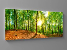 Liox Obraz les Rozměr: 100 x 45 cm