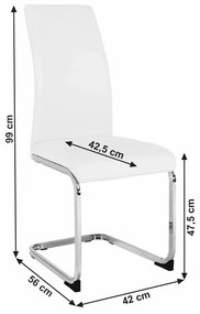 Jídelní židle, bílá/chrom, VATENA