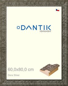 DANTIK rámeček 60x80 | Dora Silver (Plexi Čiré)
