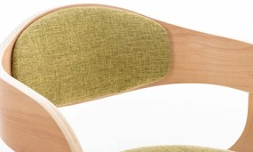 Bhm germany Jídelní židle Kingston, textil, přírodní / zelená
