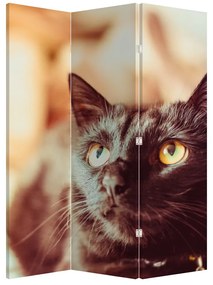 Paraván - Černá kočka (126x170 cm)