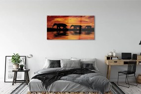 akrylový obraz sloni West Lake 125x50 cm