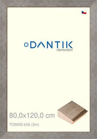 DANTIK rámeček 80x120 | TOMAS bílá velká (Plexi Čiré)