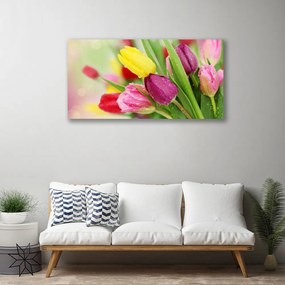 Obraz na plátně Tulipány Květiny Rostlina 100x50 cm