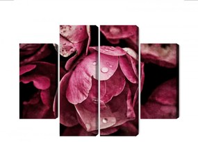 Vícedílný obraz Pivoňka Květiny Zblízka 3D Nedostatek Nedostatek Plátno Canvas 80x60