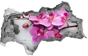 Wallmuralia Samolepící nálepka Orchidej na stromě 95x73 cm