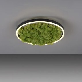 JUST LIGHT. 15391-66 - LED Stmívatelné stropní svítidlo GREEN RITU LED/20W/230V