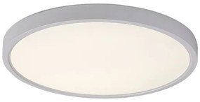 Rabalux 71073 - LED Stropní svítidlo PAULOS LED/24W/230V 4000K pr. 30 cm bílá