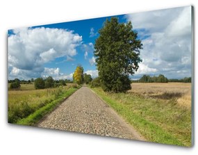 Kuchyňský skleněný panel Vesnice Cesta Dlažba Krajina