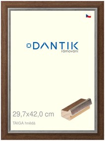 DANTIK rámeček 29,7x42 | TAIGA hnědá (Plexi Čiré)