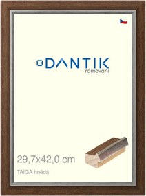 DANTIK rámeček 29,7x42 | TAIGA hnědá (Plexi Čiré)