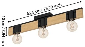 Eglo 43901 - Stropní svítidlo BAILRIGG 3xE27/40W/230V