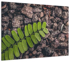 Skleněný obraz zelené rostliny (70x50 cm)