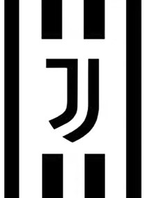 Dětská deka Juventus FC Black and White 150x200 cm