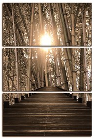 Obraz na plátně - Dřevěná promenáda v bambusovém lese - obdélník 7172FB (105x70 cm)