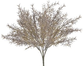 trs asparagus x7 -  šedozelená/bronzová
