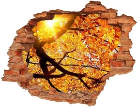Wallmuralia Samolepící díra na stěnu Koruna stromů podzim 90x70 cm