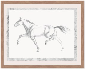 Zarámovaný digitální tisk Single Horse, v různých velikostech