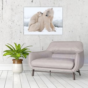 Skleněný obraz - Lední medvědi (70x50 cm)