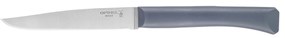 Opinel Bon Appetit + steakový nůž s polymerovou rukojetí 11 cm, šedá, 001903