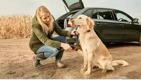 BOSCH Fontus Gen2 zeleno-černá / Aku tlakový čistič / 18V / 15 l / bez