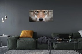 Obraz na skle wolf Eyes 120x60 cm