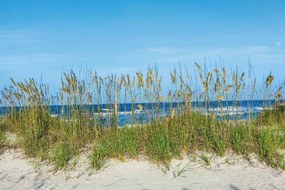 DIMEX | Samolepicí vliesová fototapeta na zeď Tráva na pláži MA-5-3220 | 375 x 250 cm | zelená, modrá, bílá