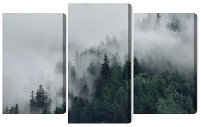 Vícedílný obraz Zelený Mlhavý Les Nedostatek Nedostatek Přírodní plátno 120x80