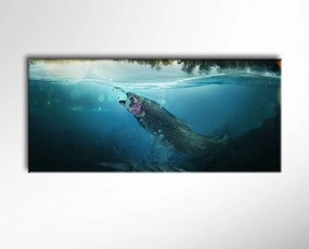 Malvis ® Obraz Pstruh pod vodou ROZMĚR (šířka x výška): čtyřdílný čtverec 80x80 cm