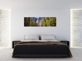 Obraz - Pod Yosemite skálou (170x50 cm)