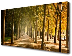 Obraz na plátně Park Alej Krajina 140x70 cm