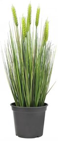 Umělá květina - Pšenice zelená v květináči, 60 cm