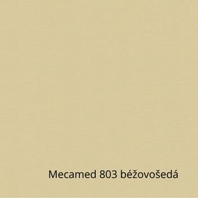 SEGO CZ Zdravotní židle SEGO Stand N koženka Barva: 700 Tmavě zelená
